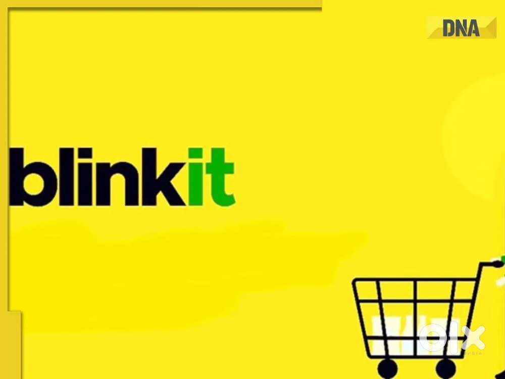 Baddi blinkit delivery boy - Delivery & Collection - 1817430883