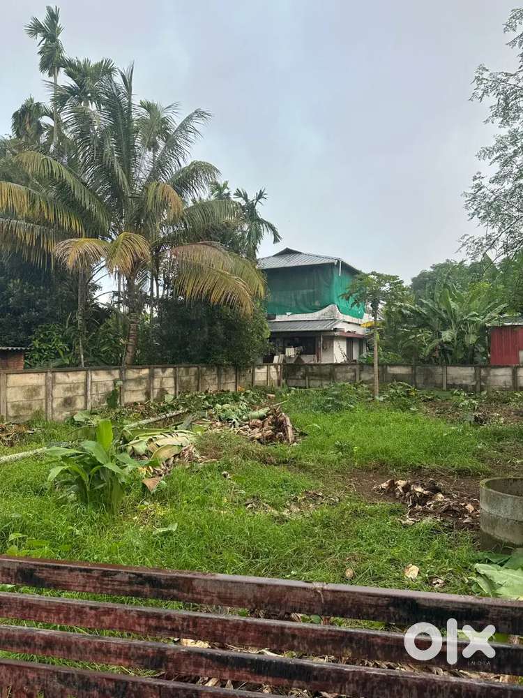 Aluva bank junction 7cent house plot for sale - Lands & Plots - 1819707365