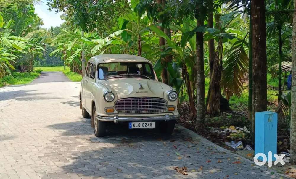 Ambassador mark2 1965 Diesel 100000 Km - Cars - 1819800009