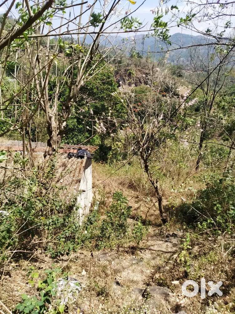 വണ്ടിപെരിയാർ,57-mile-ൽ, NH 183 റോഡിന് സമീപം 38 സെന്റ് സ്ഥലം വില്പനക്ക് ...