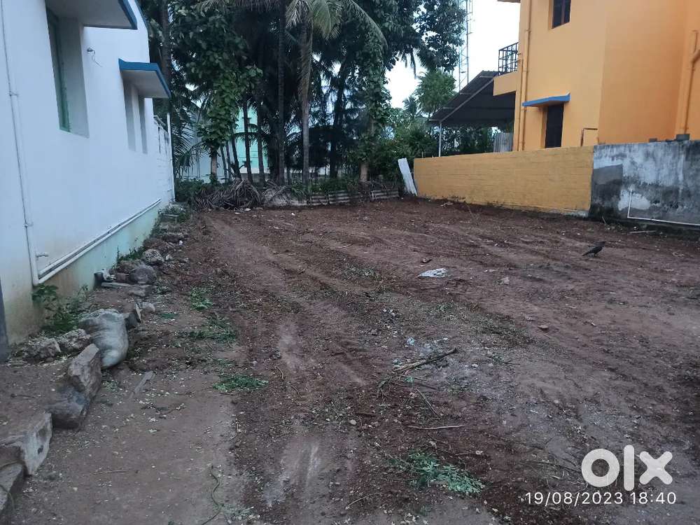4.50 cent thoppampatti pirivu neAr - Lands & Plots - 1750946480