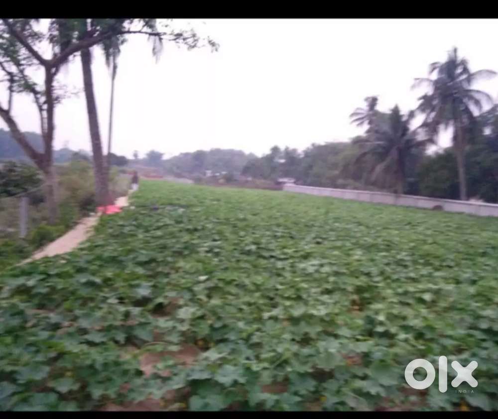 Land for sale in between jaleswar to chandaneswar - Lands & Plots ...