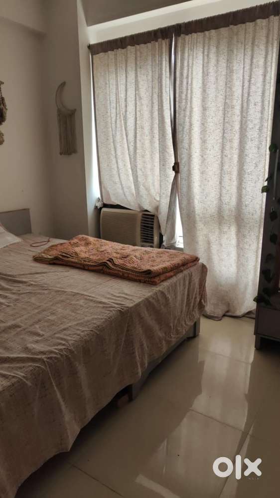 Female flatmate required - For Rent: Houses & Apartments - 1808966480