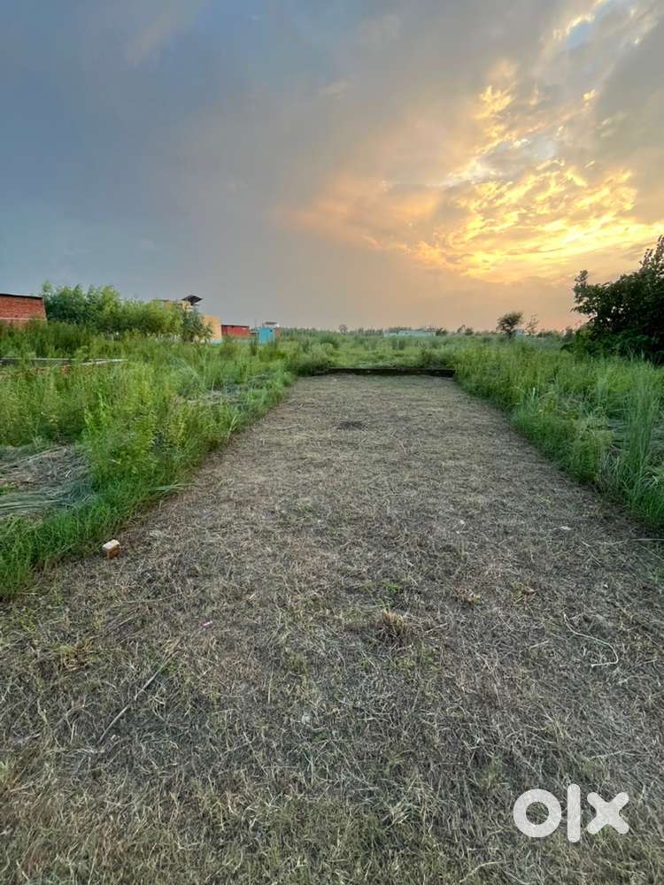 80 gaz ZA plot fro sale - Lands & Plots - 1818179017