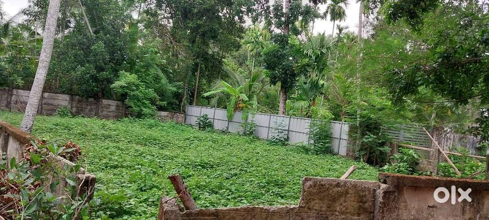 8 cent land for sale - Lands & Plots - 1810028800