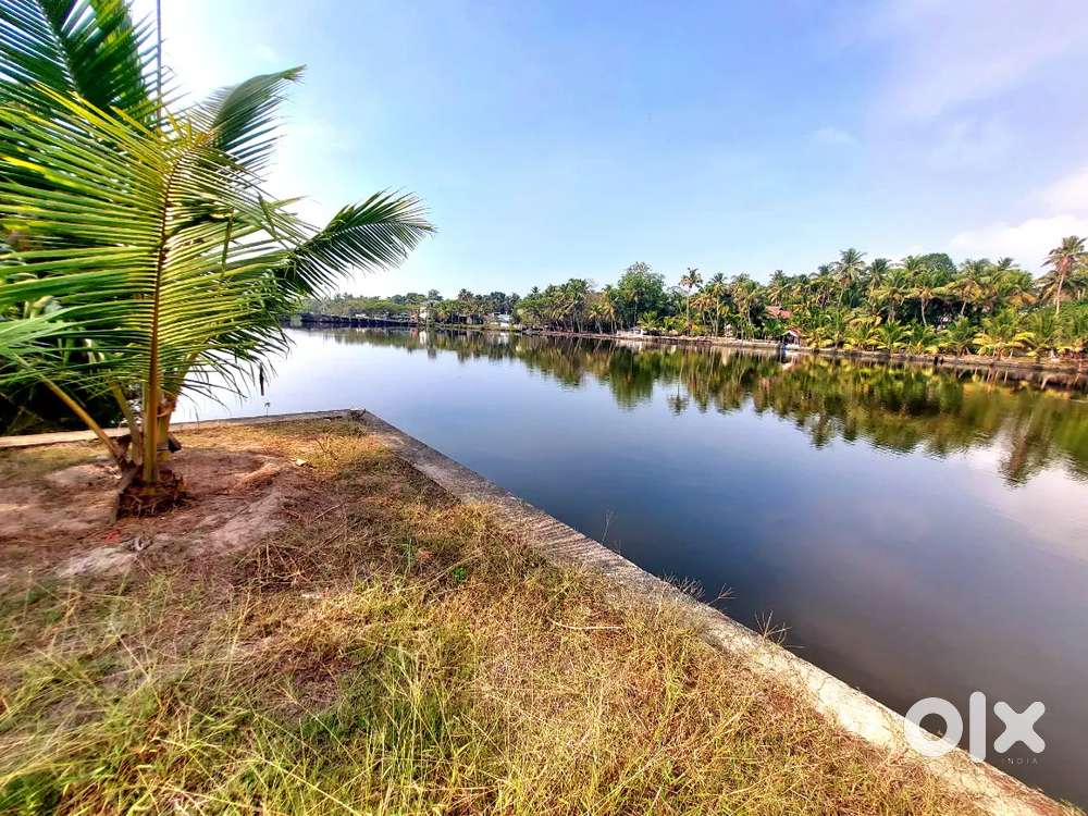 Waterfront land at Panangad Kochi - Lands & Plots - 1801819638