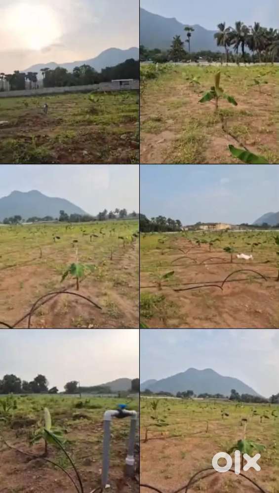 AGAR WOOD FARM LAND @REAL GROWRH & REAL RETURNS,GROW PROSPERITY - Lands ...