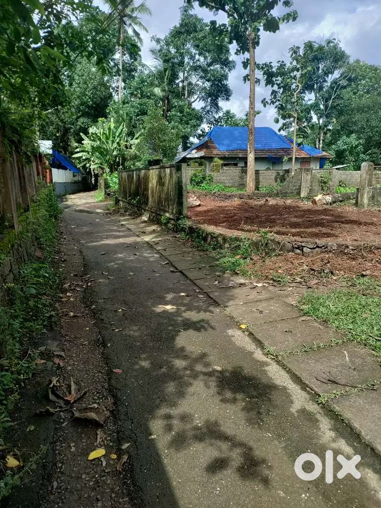 10 cent land - Lands & Plots - 1811663951