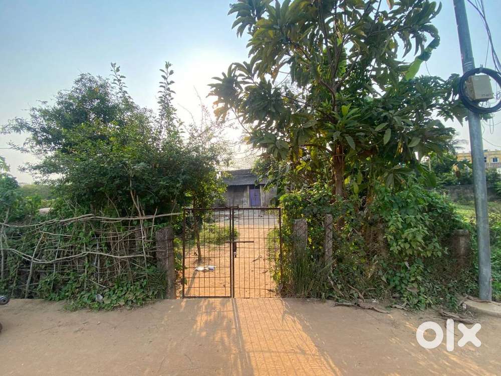 6 Decimil Land for sale Bijaynagar, Samalpur - Lands & Plots - 1801448847