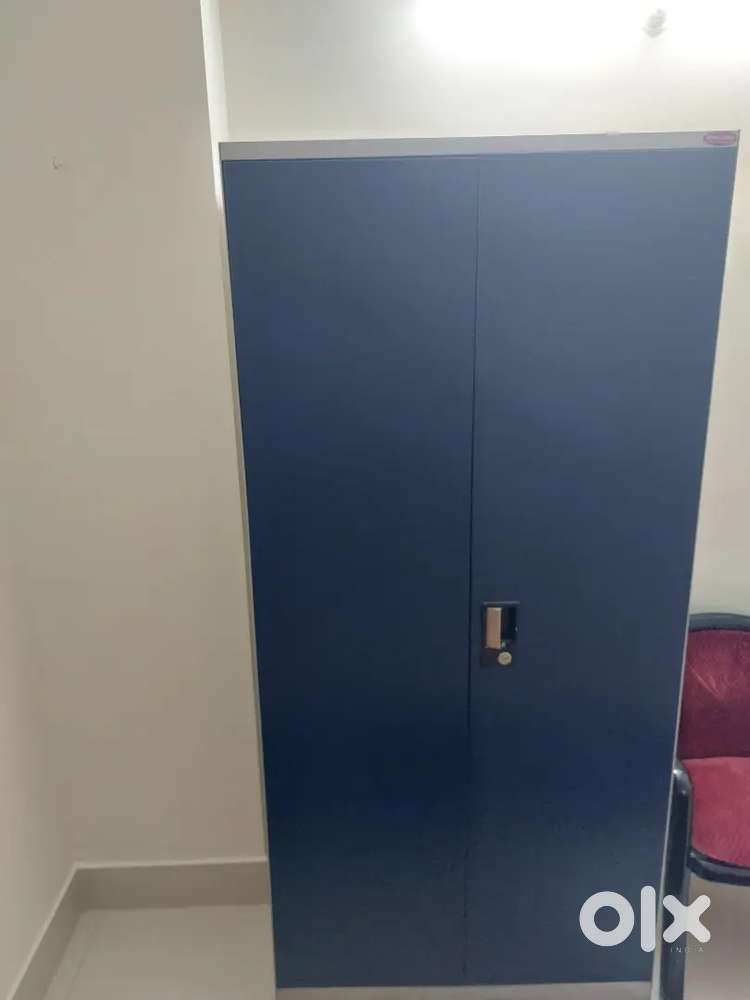 Steel n Style two door almirah - Beds & Wardrobes - 1788922917