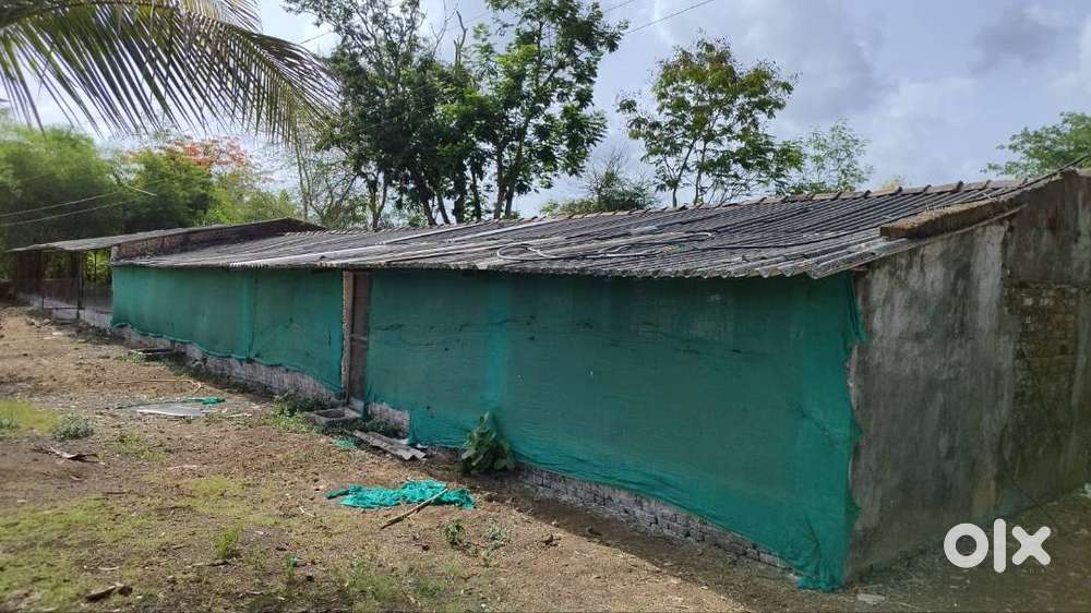 Commercial / Agricultural Sheds available on rent - For Rent: Shops ...