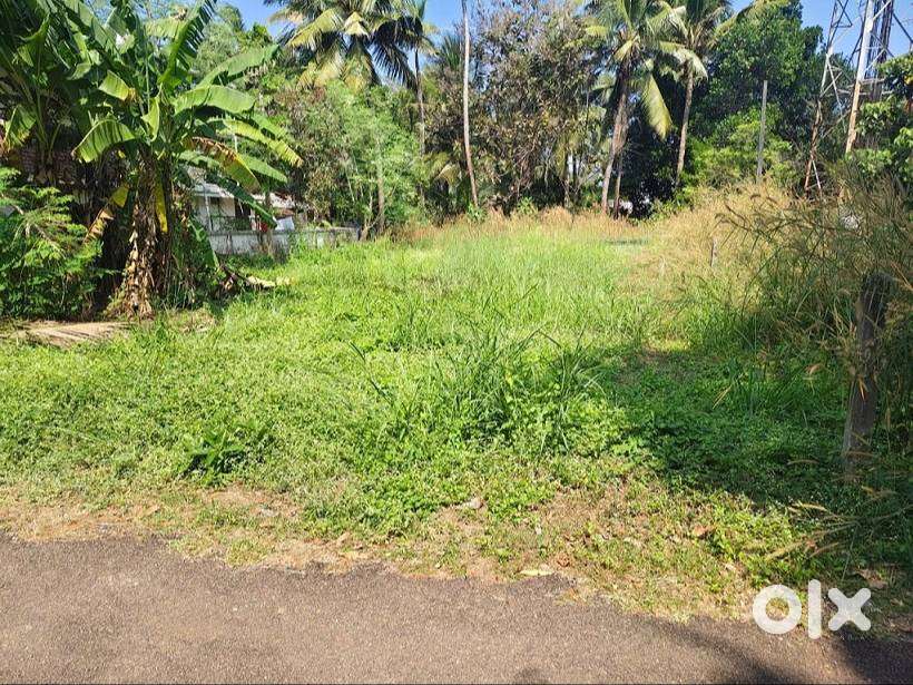Ollur near 6cent Residential land - Lands & Plots in Ollur, Thrissur ...