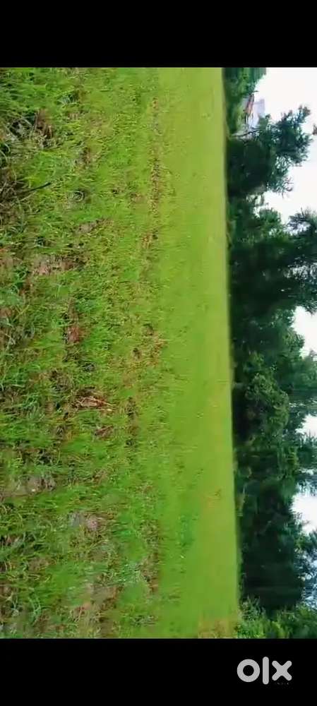 Palaj Approch Road Entry Jagyaa - Lands & Plots - 1820412297