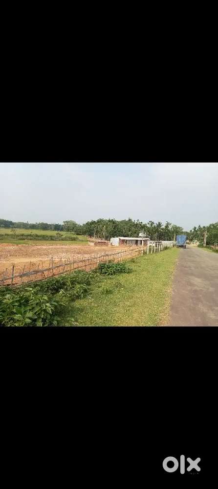 Road side plot - Lands & Plots - 1812742908