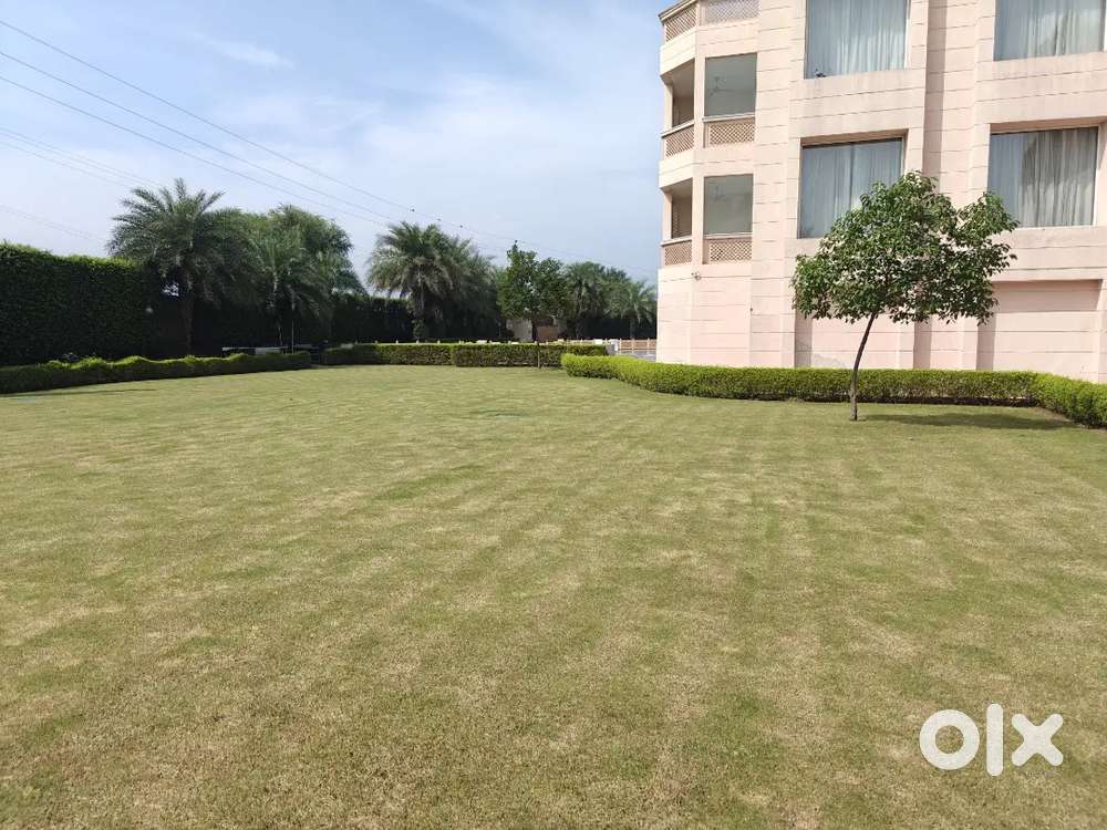 Sec 4 rewari - Lands & Plots in Sector 4, Rewari - 1834470553