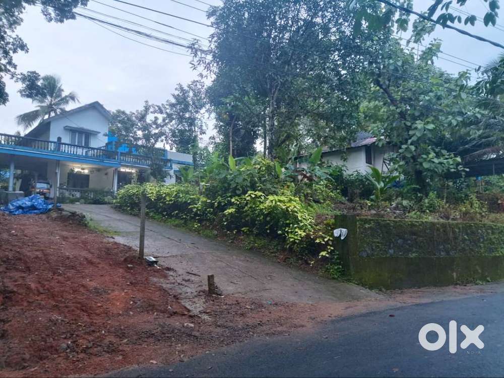 PLOT FOR SALE IN PALA MUNiCIPALITY - Lands & Plots - 1815792837