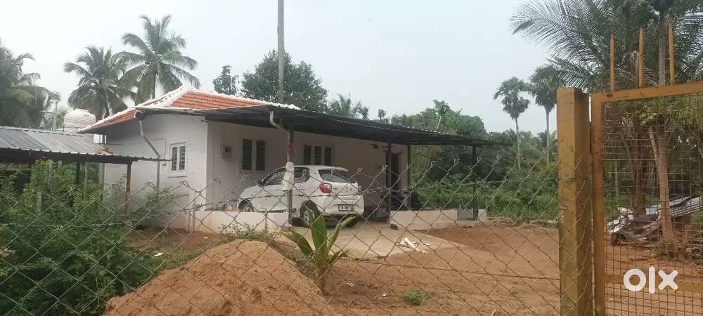 2.50 Acer coconut farm with bore well open well small house - Lands ...