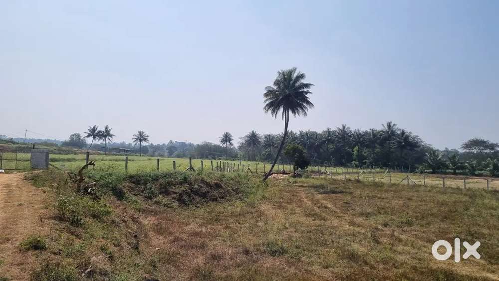Agriculture land 6.85 Acres full fencing water free current with legal ...