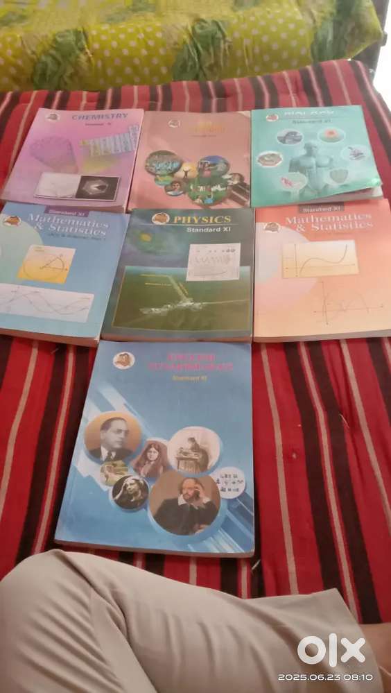 Ham kitabe bech rahe - Books - 1811112183