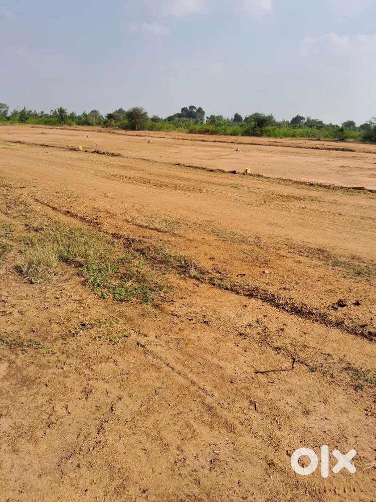 Low budget - Lands & Plots - 1818900896