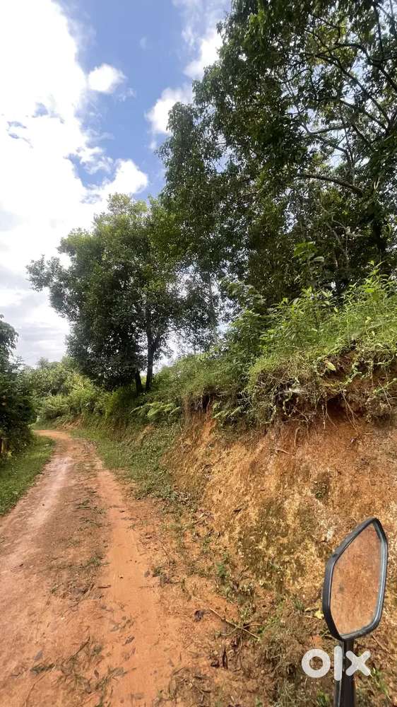Red soil plot for farming or farm house at low price near dharmanagar ...