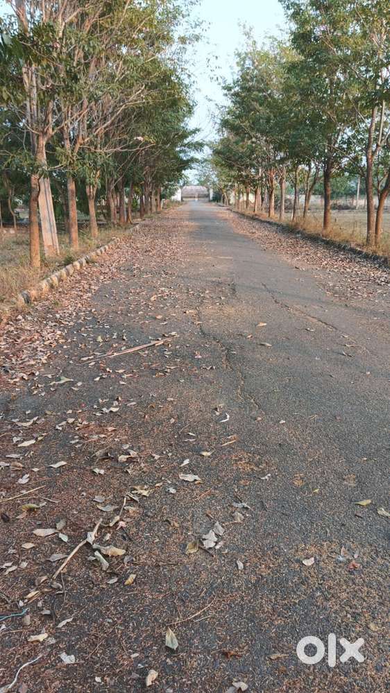 Subhagruha venture plot - Lands & Plots - 1816377948