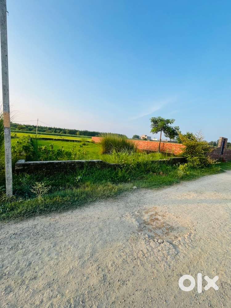 287 gaz ZA plot for sale - Lands & Plots - 1814044652