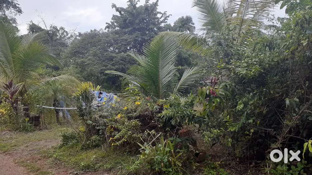 Lands & Plots for sale in Goa | OLX