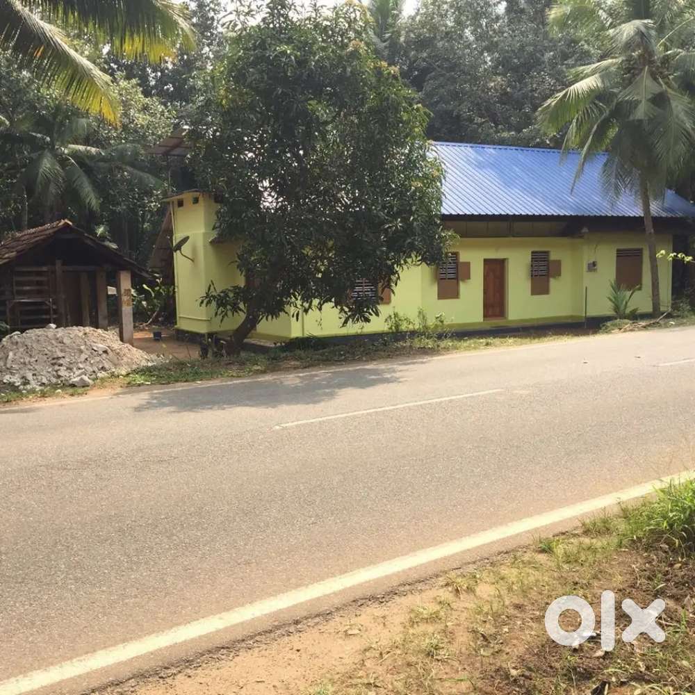 land for sale in Mangad, Adoor - Lands & Plots - 1796746368