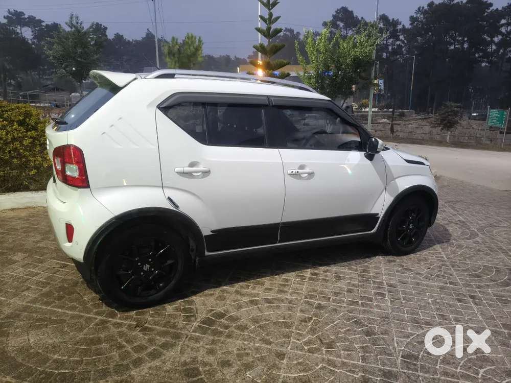 Maruti Suzuki Ignis 2021(Automatic Gear) - Cars - 1814257359