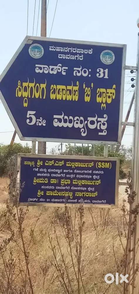 Polt for sale, Plot number 15 - Lands & Plots - 1810962714