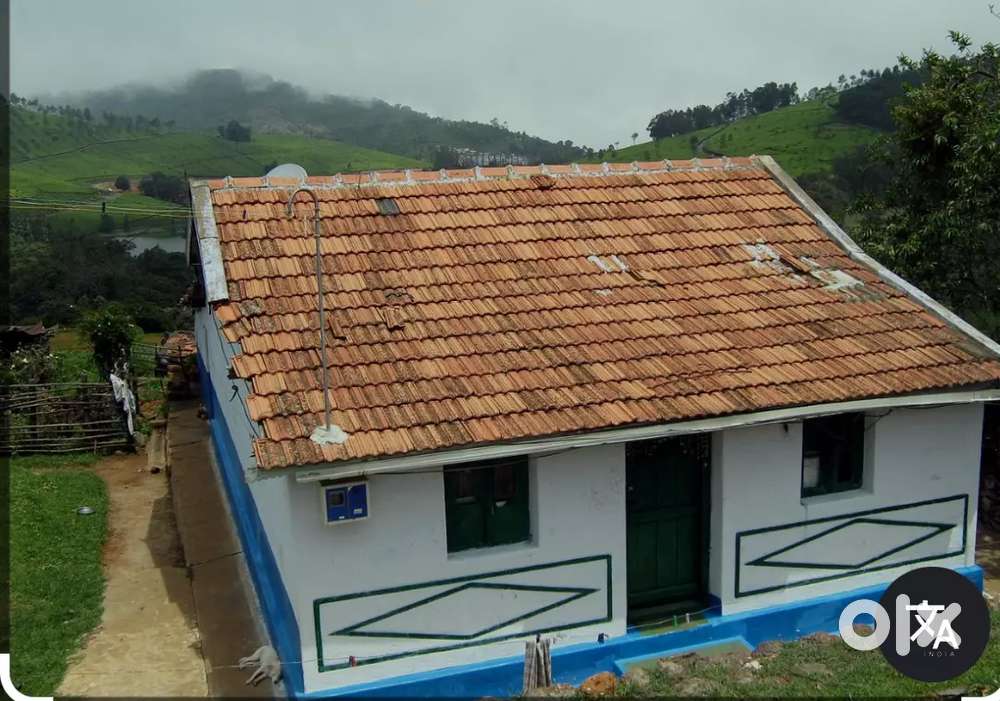 Ottu veedu - For Rent: Houses & Apartments - 1826911898