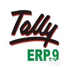 Tally erp 9 operator - Accountant - 1798028946