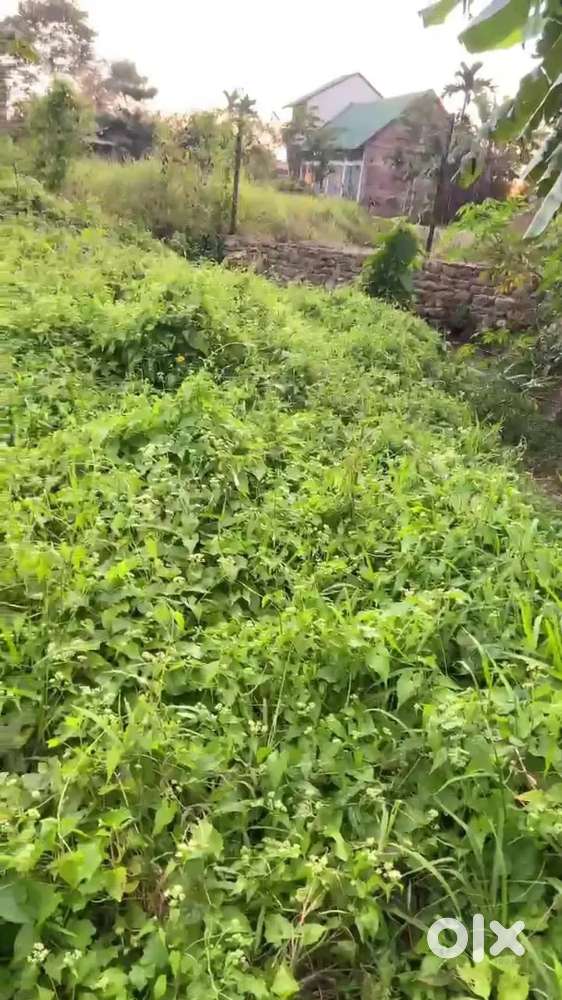 LAND FOR SALE - Lands & Plots - 1806991019