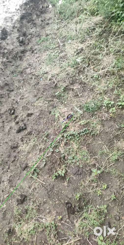 4000 sqft plot for sale in bharuch zadeshwar - Lands & Plots - 1795455118