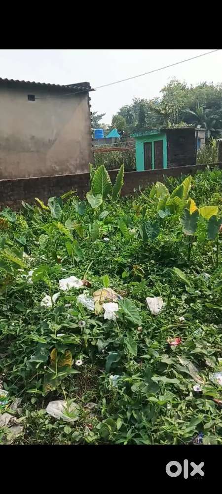 Plots sell - Lands & Plots - 1827976329