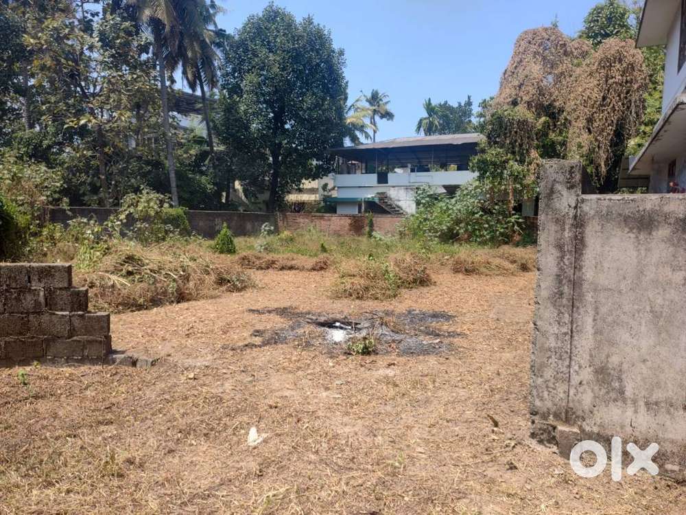 Residential plot 8.12 cents Edapally toll - Lands & Plots - 1814311427