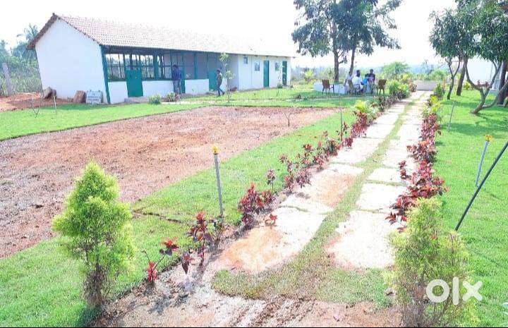 Aroma Sandalo Farmland – Sandalwood Trees with Lifetime Returns - Lands ...