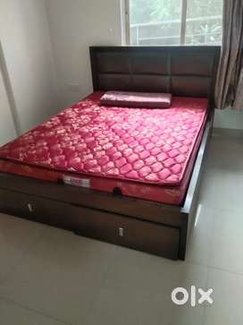 Queen Bed Buy Sell Used Beds Wardrobes in Sarjapur Road OLX