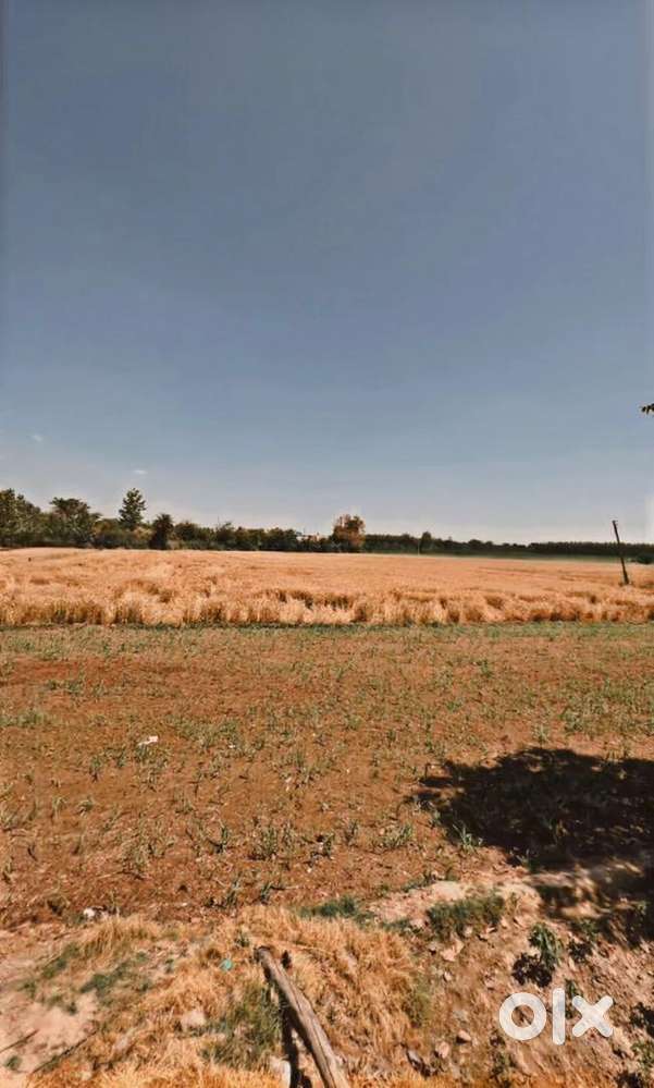 Big and peaceful house with 1.5 acer land - Lands & Plots - 1748533254