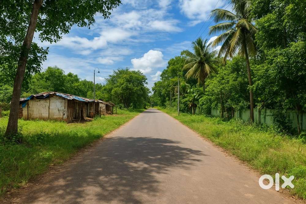 10 ACRES LAND FOR SALE IN COIMBATORE - Lands & Plots - 1825036879