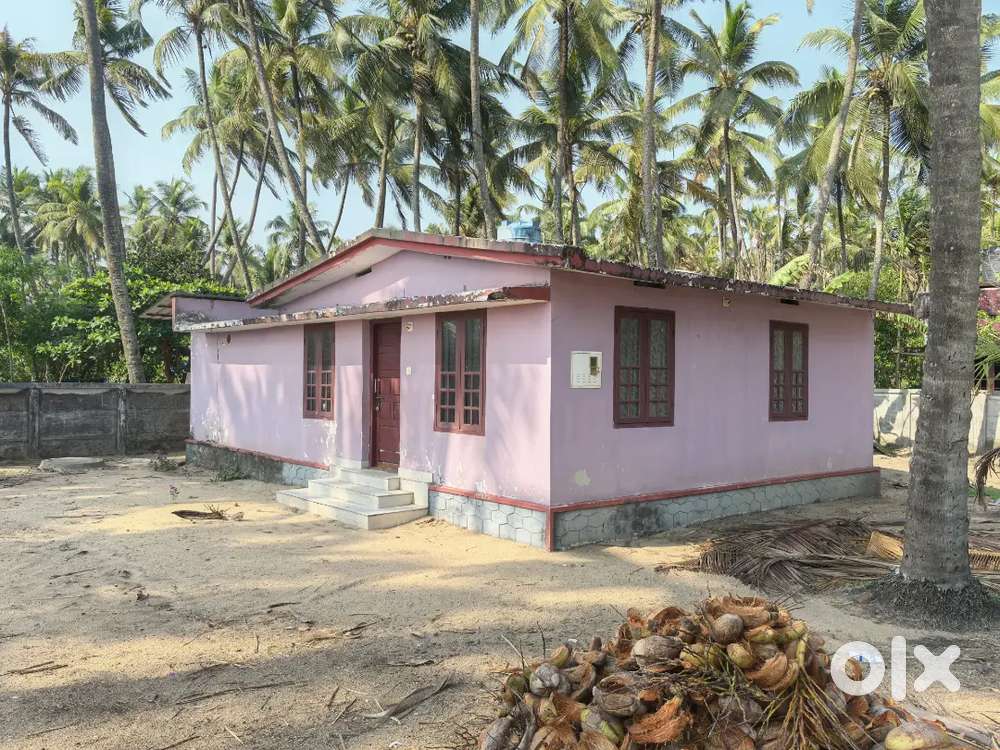 Beach View Plot - For Sale: Houses & Apartments - 1803714737