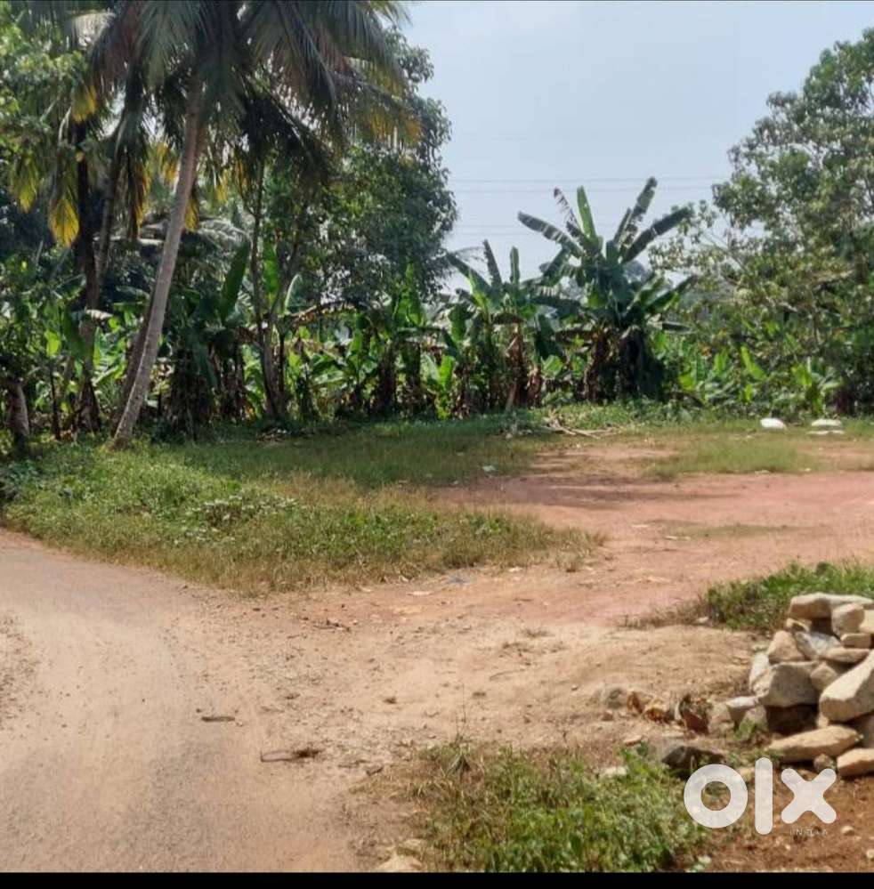 32 cent plot for sale - Lands & Plots - 1823195374