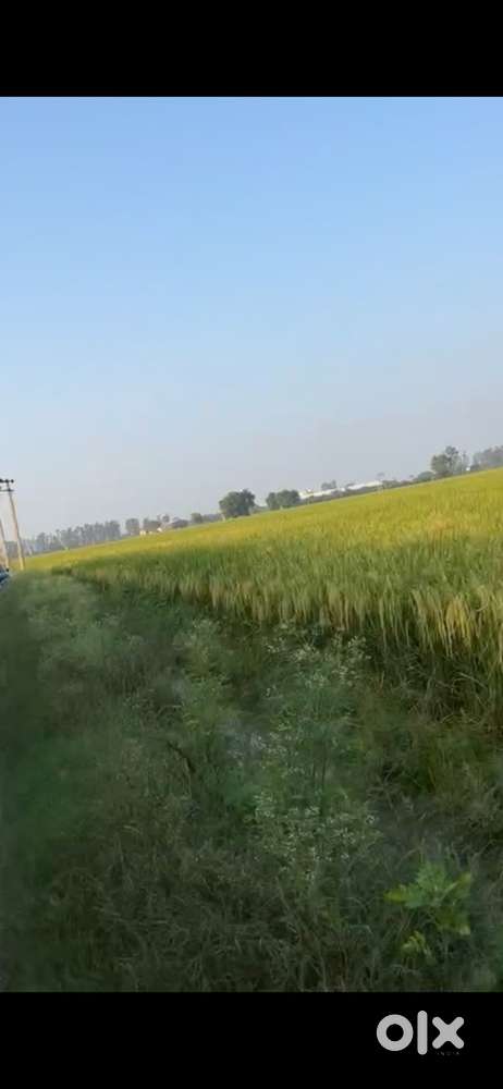 10 acre land - Lands & Plots - 1823202627