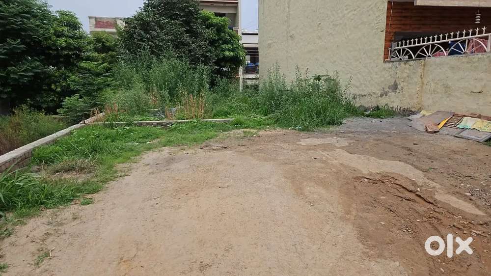 Sector 125 plot available 150 gaj - Lands & Plots - 1814536796