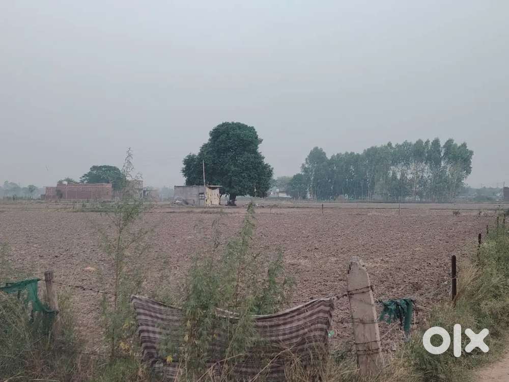 250 gaj plot for sale 5 Viswa 40*65 - Lands & Plots - 1807630613