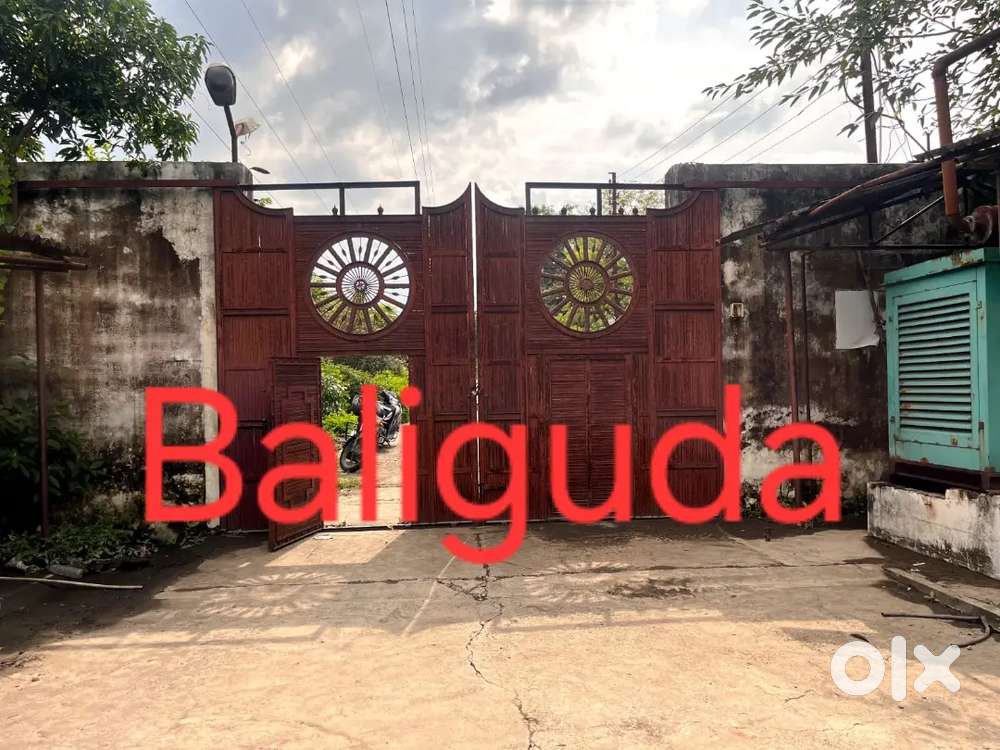 Freelance Work - Other Jobs - 1818271159