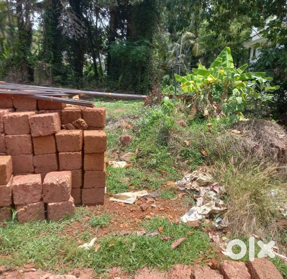 10 cent Land for sale Thottda - Lands & Plots - 1807383989