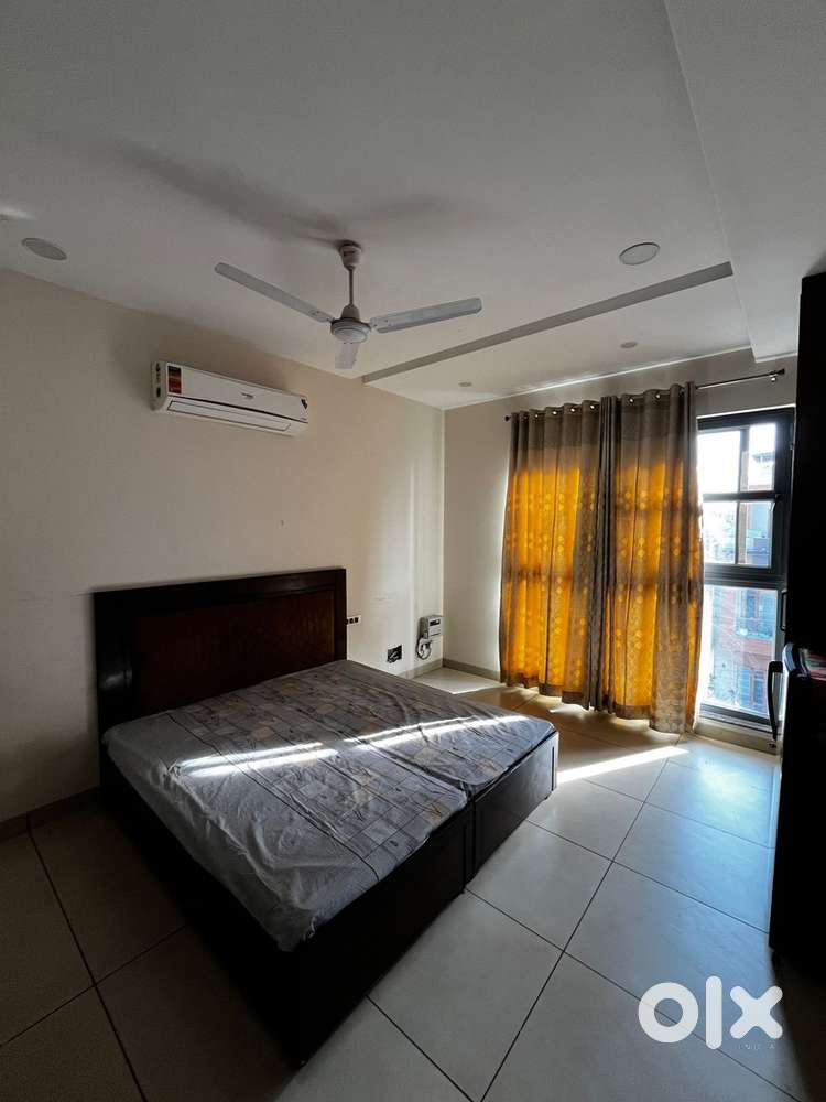 Furnished 1bhk/ 1Rk for rent - For Rent: Houses & Apartments - 1803937080