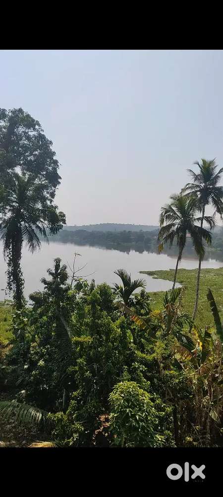 Lake view 4bhk furnished villa for rent in Kadamba Plateau, Goa. - For ...